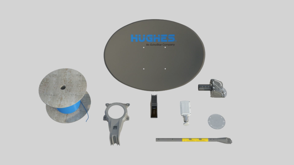 Animated Video | Talking Tree Creative